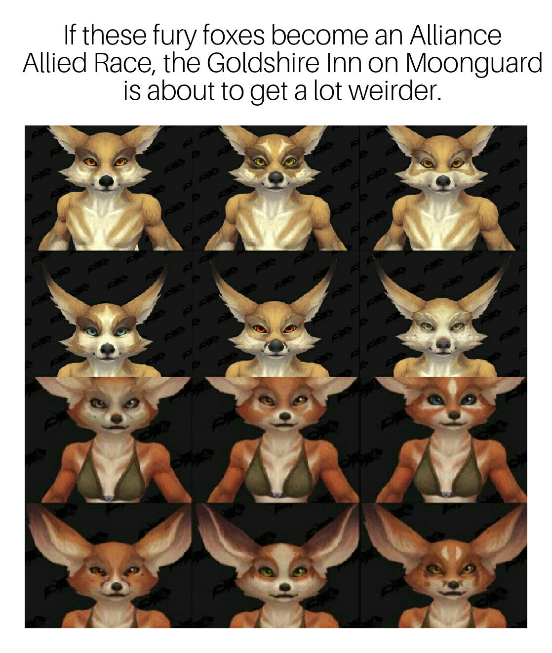 Moon Guard Memes Moon Guard Moon Guard Rp GIF Moon Guard Moon Guard