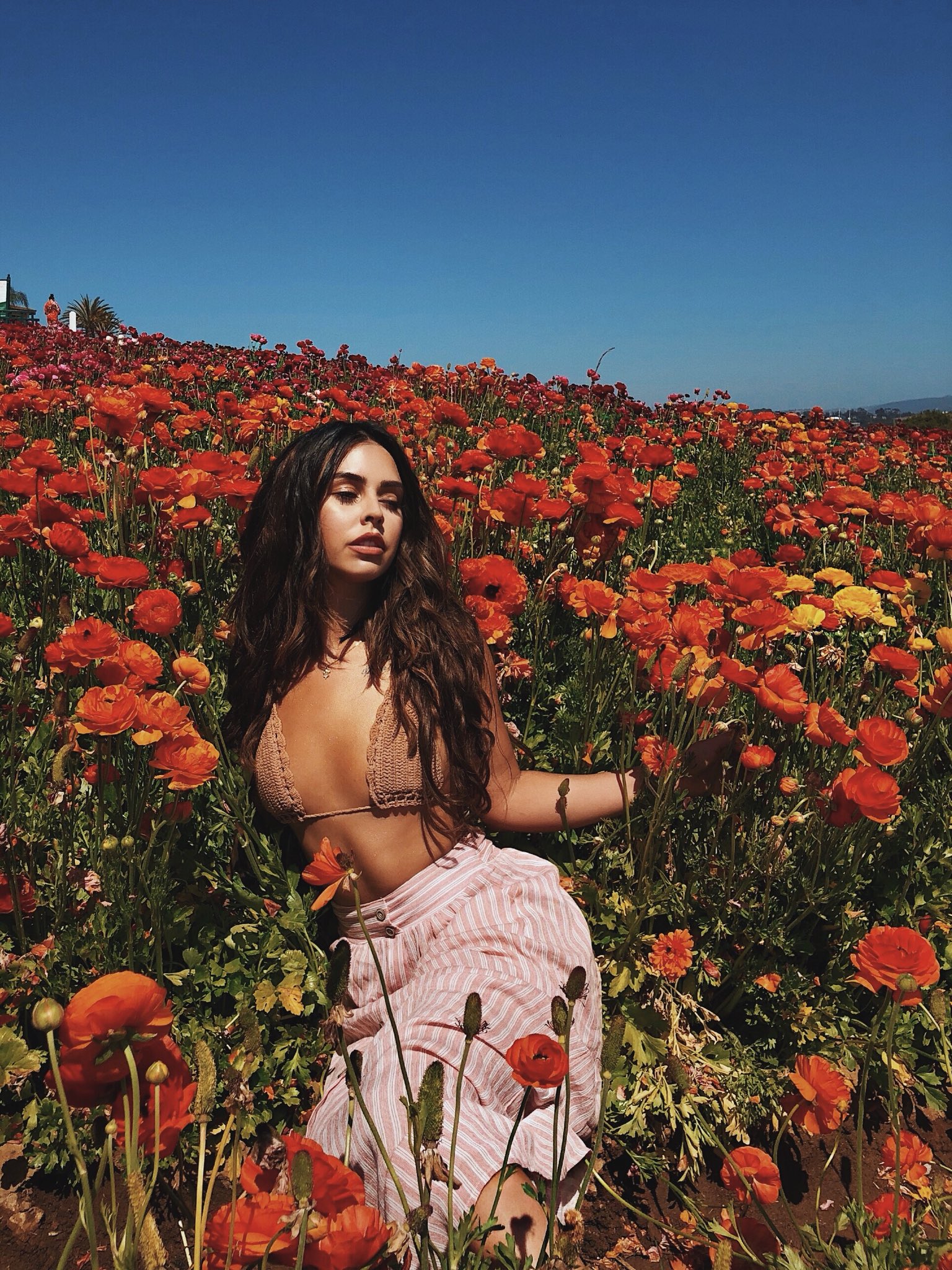 Sadee on Twitter: "In bloom 💐…