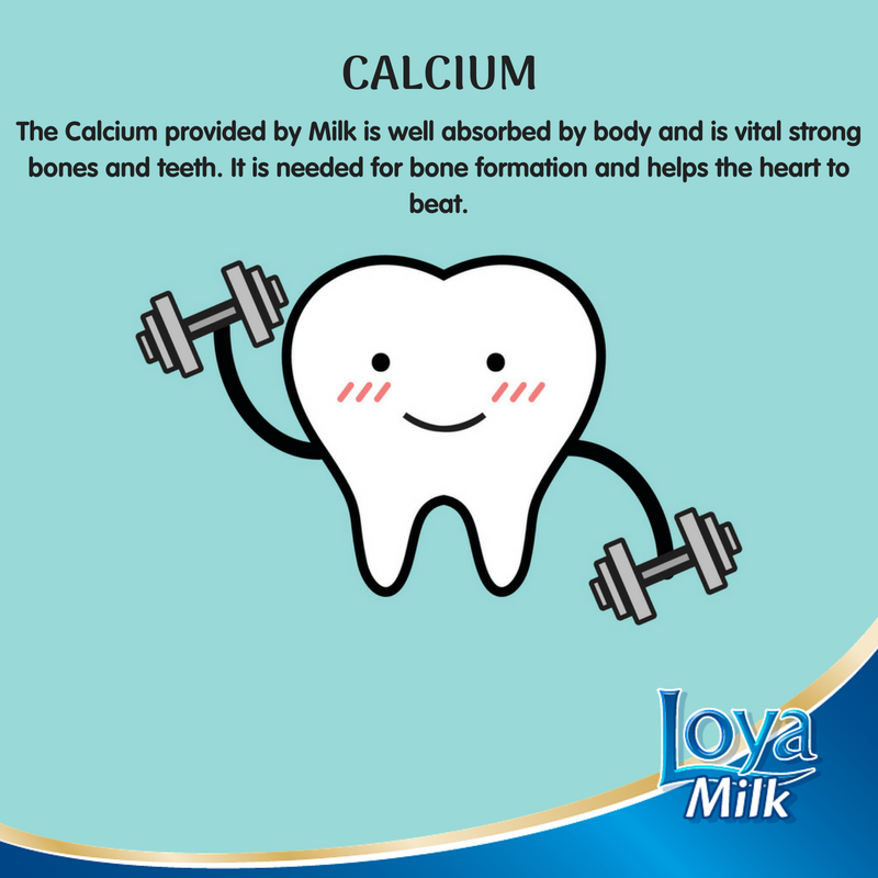 Calcium In Bones And Teeth
