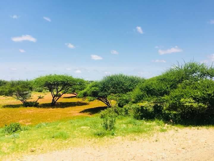 Beautiful pictures of Galguduud, Shabelle, and Hiran | Somali Spot ...