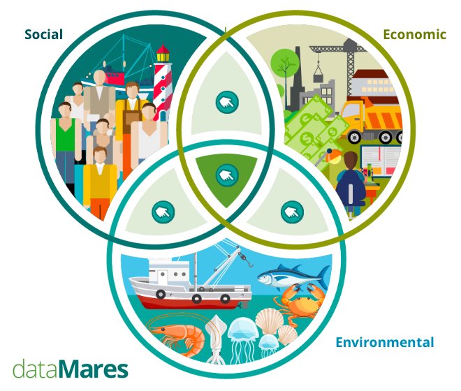 Economic Sustainability