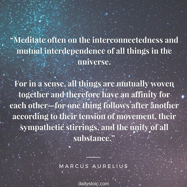 Daily Stoic on Twitter: "“Meditate often on the interconnectedness and ...