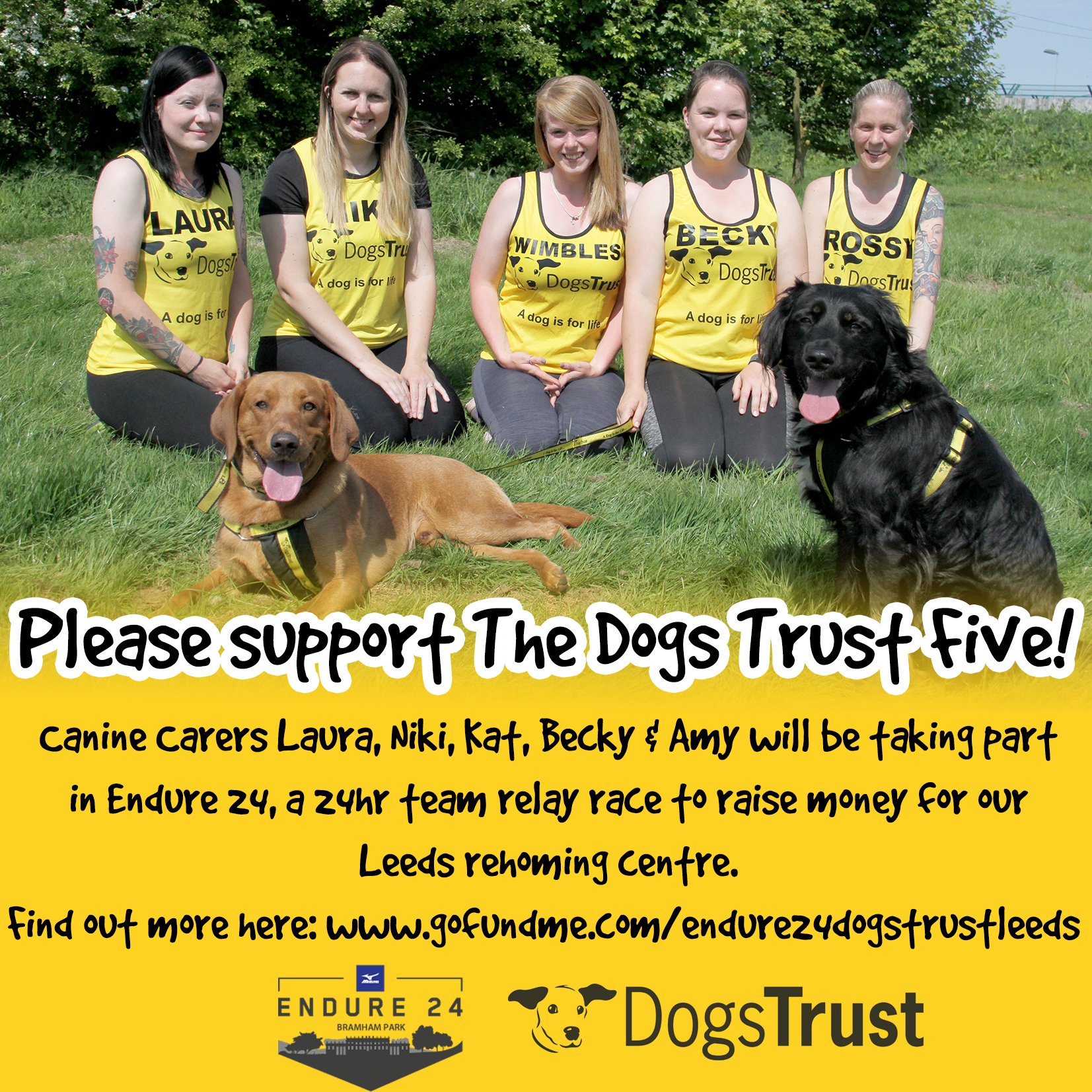 How Do You Raise Money With Dogs Trust