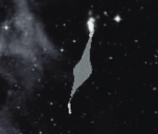 Philipp Kraus (@flashpixx) | Twitter