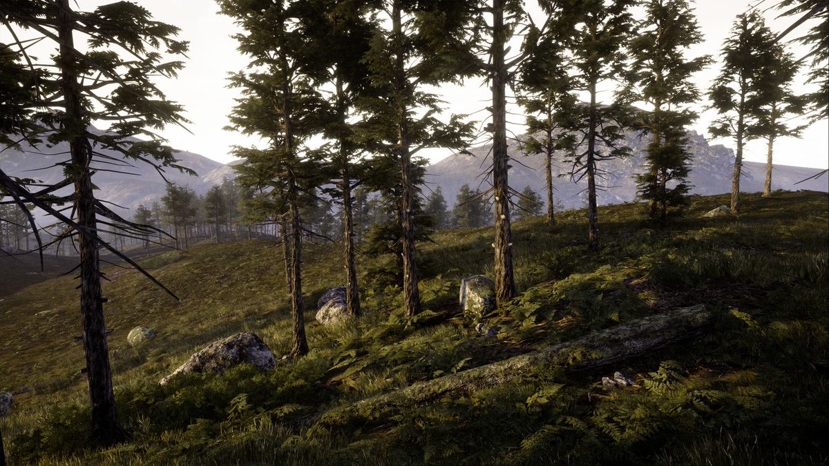 Xnormal Xnormalapp Twitter