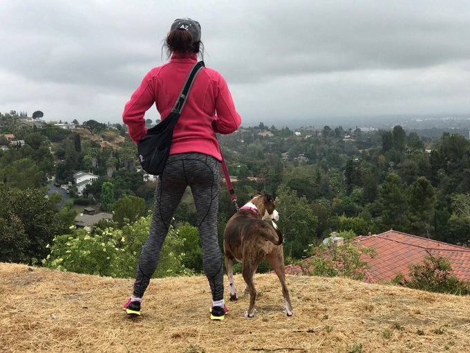 TW Pornstars - Rachel Aziani. Pictures and videos from Twitter.