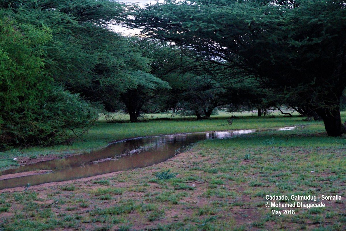 SOMALIA - Beautiful pictures of Galguduud, Shabelle, and Hiran | Somali ...