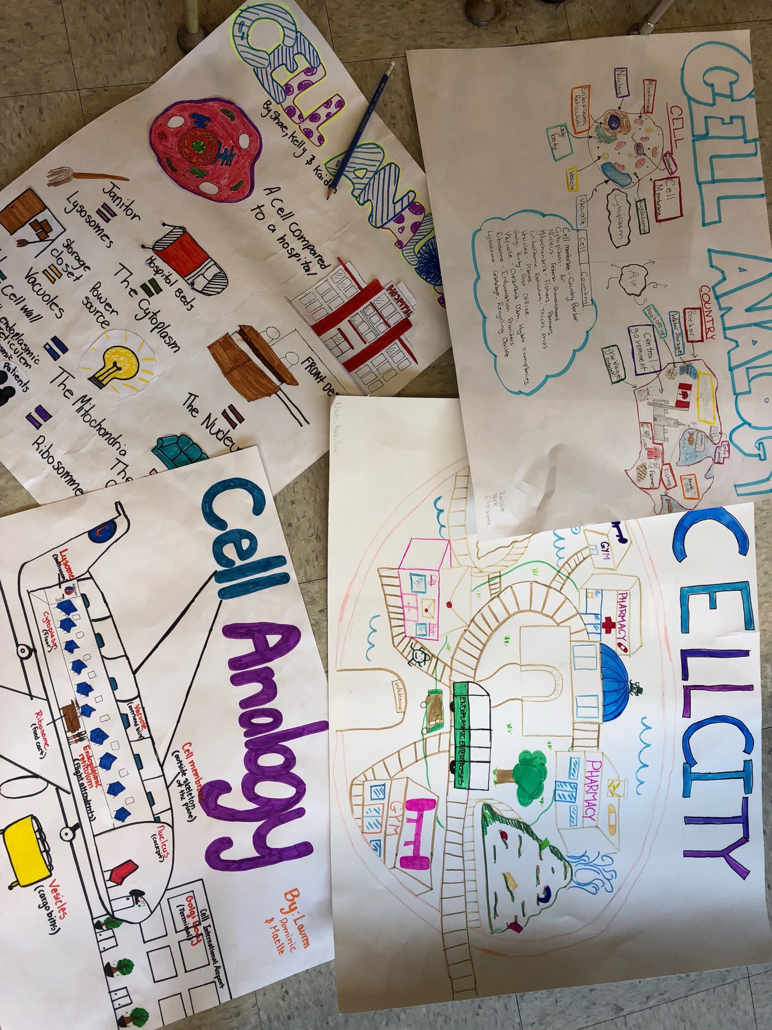 Cell Analogy Amusement Park