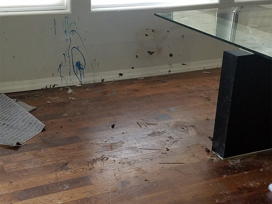 Couple says would-be homebuyers smeared feces, caused $40K in damage ...