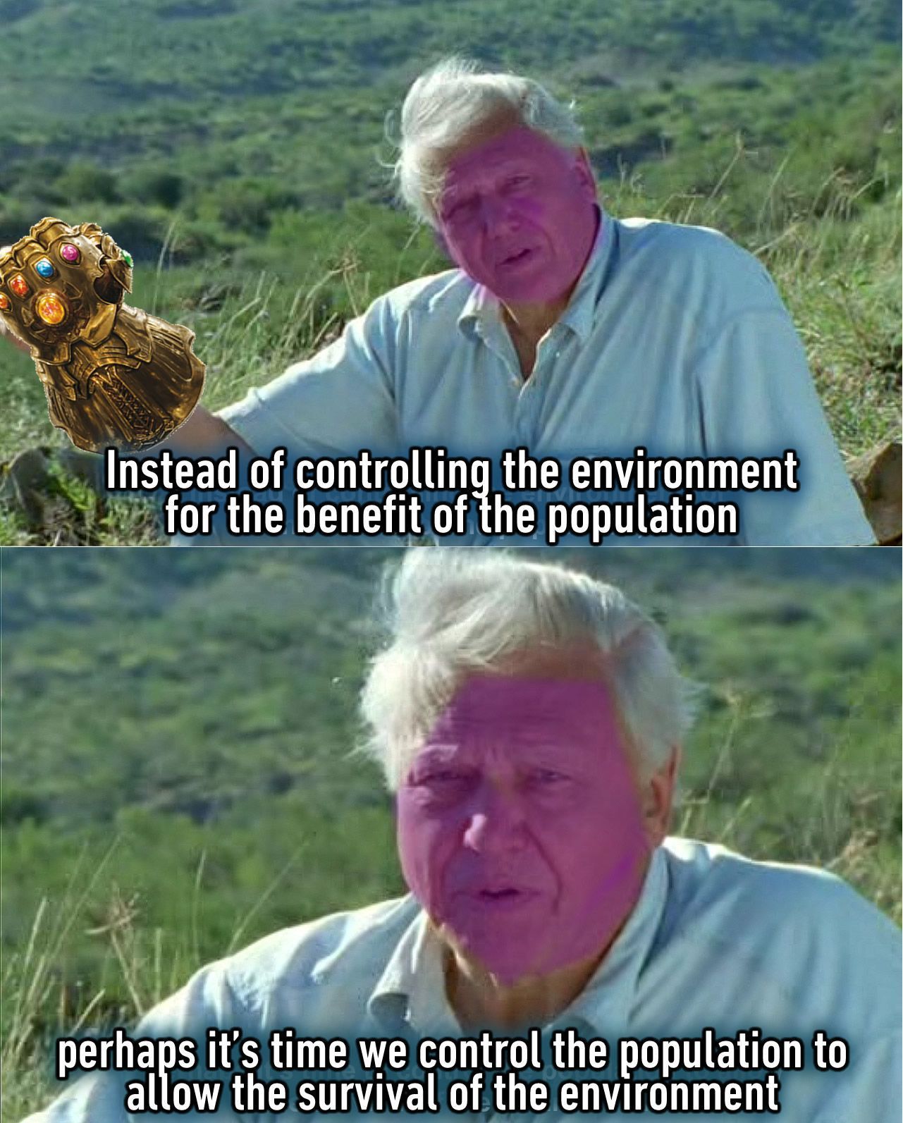 David Attenborough Memes David Attenborough Memes And Images Imgur