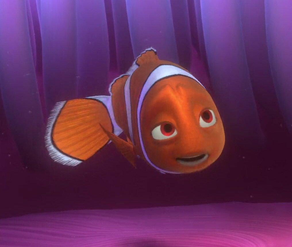 Finding Nemo Coral Died