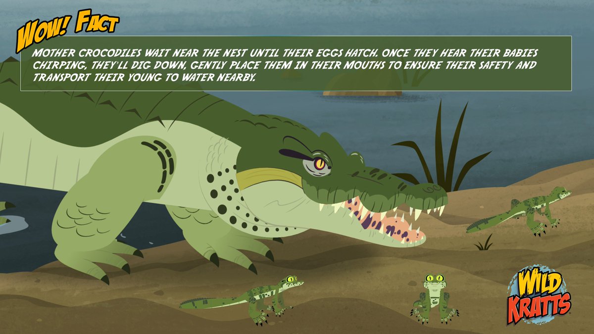 Gharial Crocodile Wild Kratts