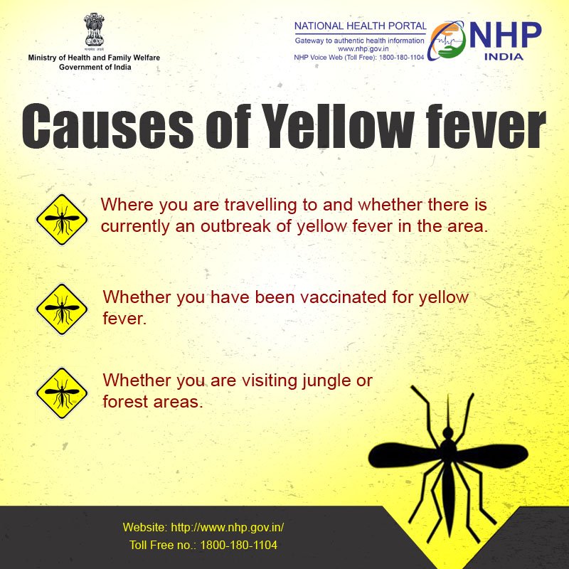 Yellow Fever Virus