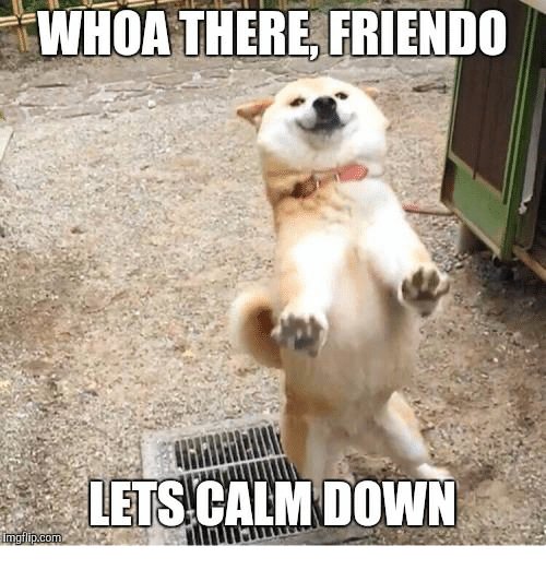 Whoa Calm Down Meme