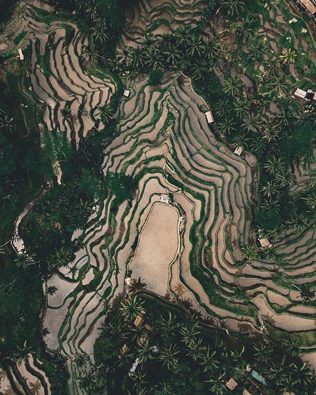 Drone Dispatch (@DroneDispatch) | Twitter