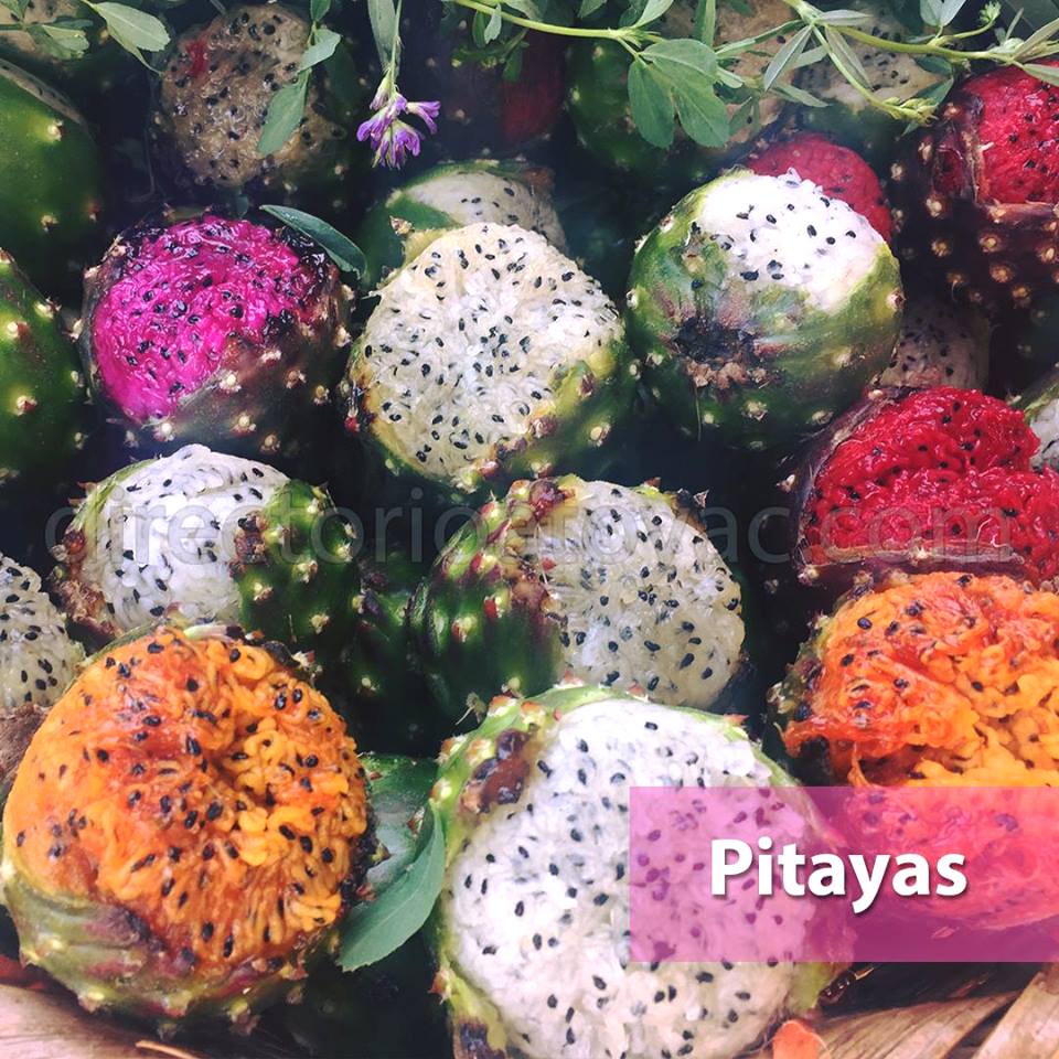 Pitayas De Colores