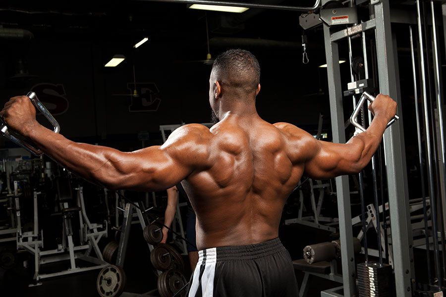 Michael Jai White Workout