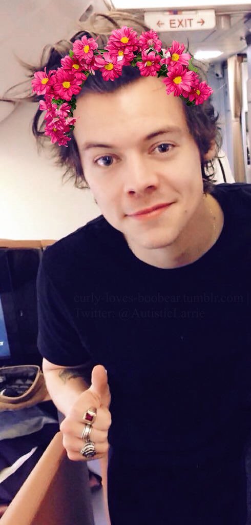 Harry Styles Punk Edits Tumblr