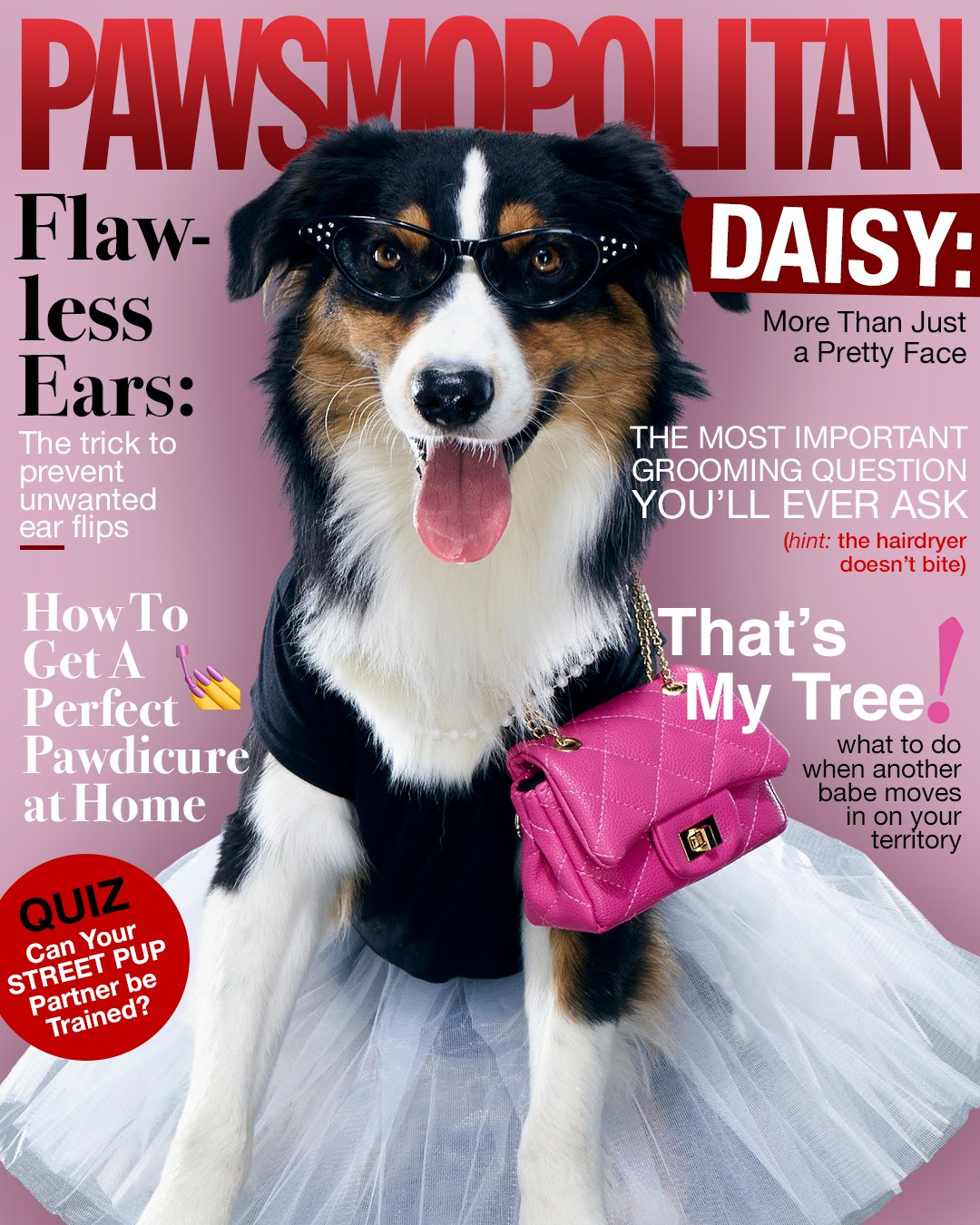 What Do Show Dogs Do