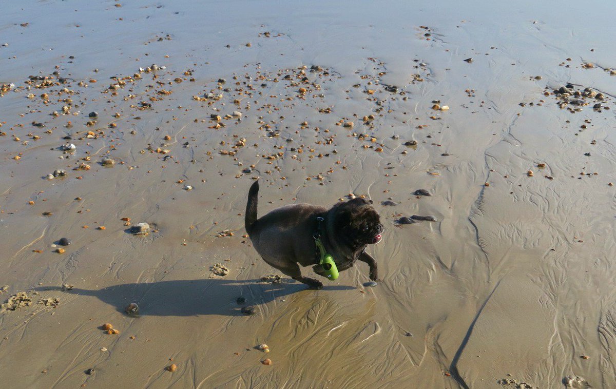 226 best Arrr images on Pholder | The Simpsons, Piracy and Bookscirclejerk