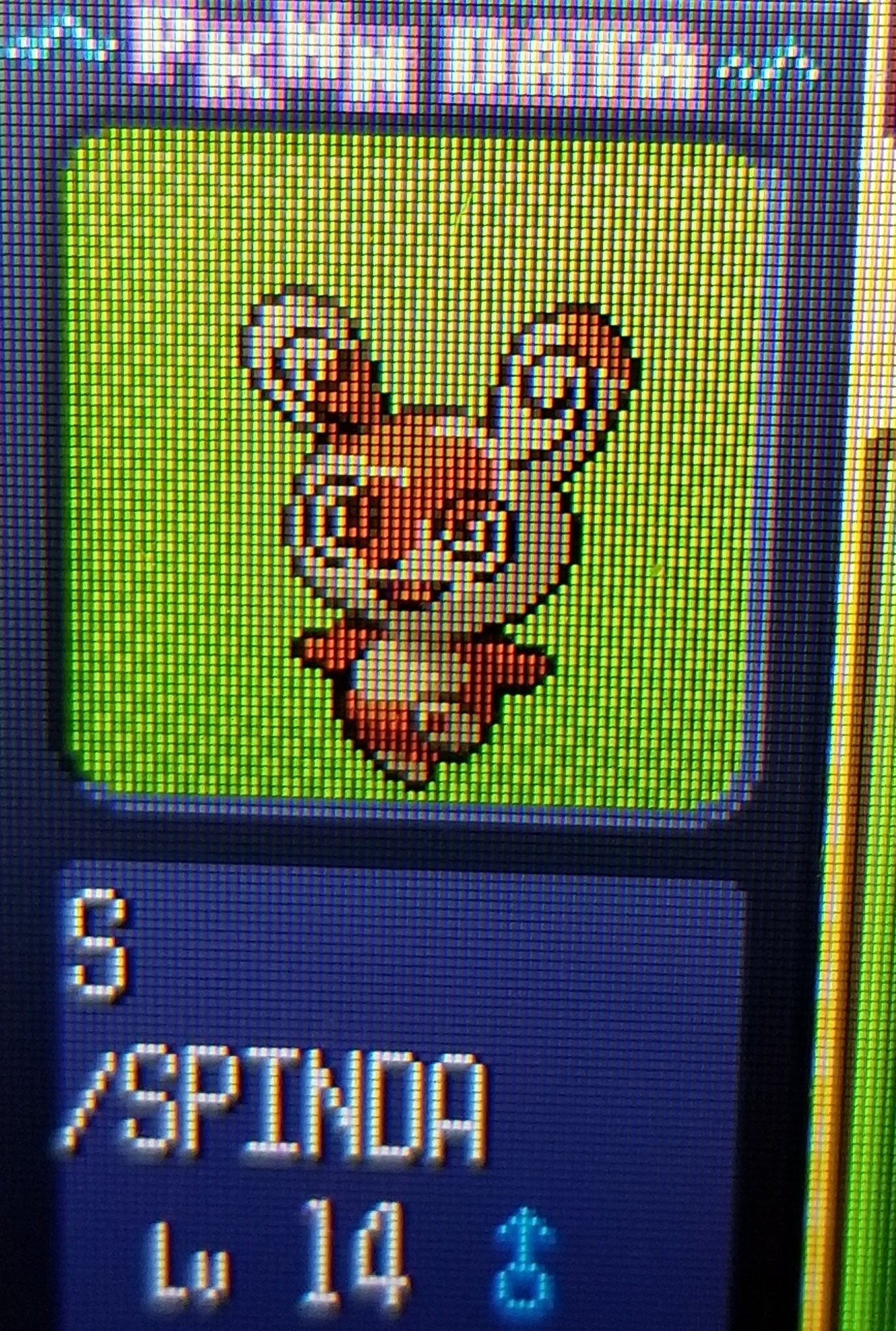 Spinda Patterns Bunnie 🍰🍓: "spinda,, My Beloved 😵💫
