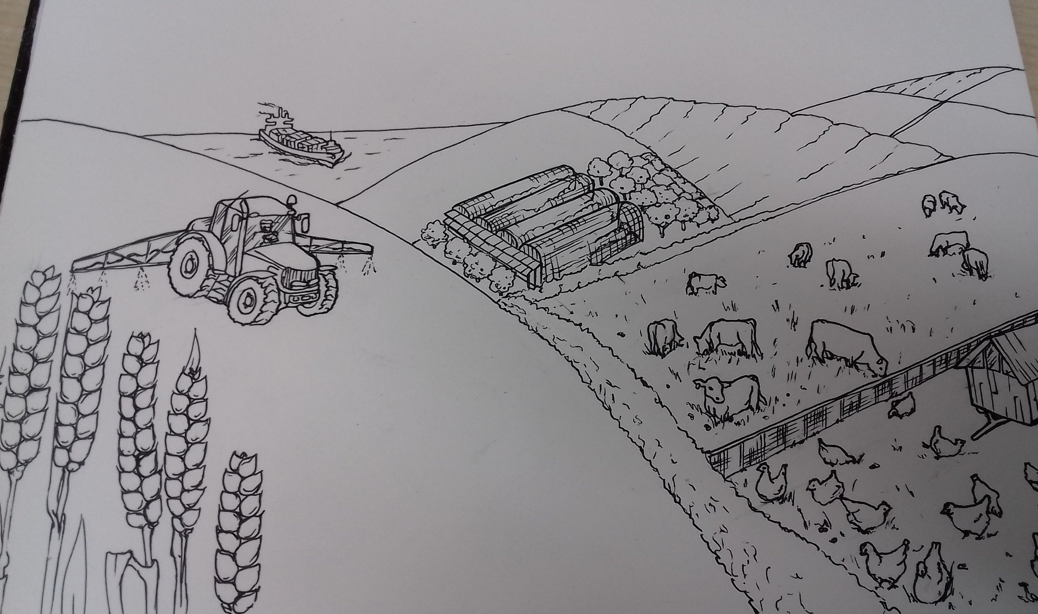 Agriculture Drawing