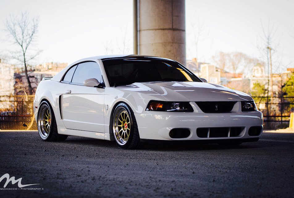 White Terminator Cobra