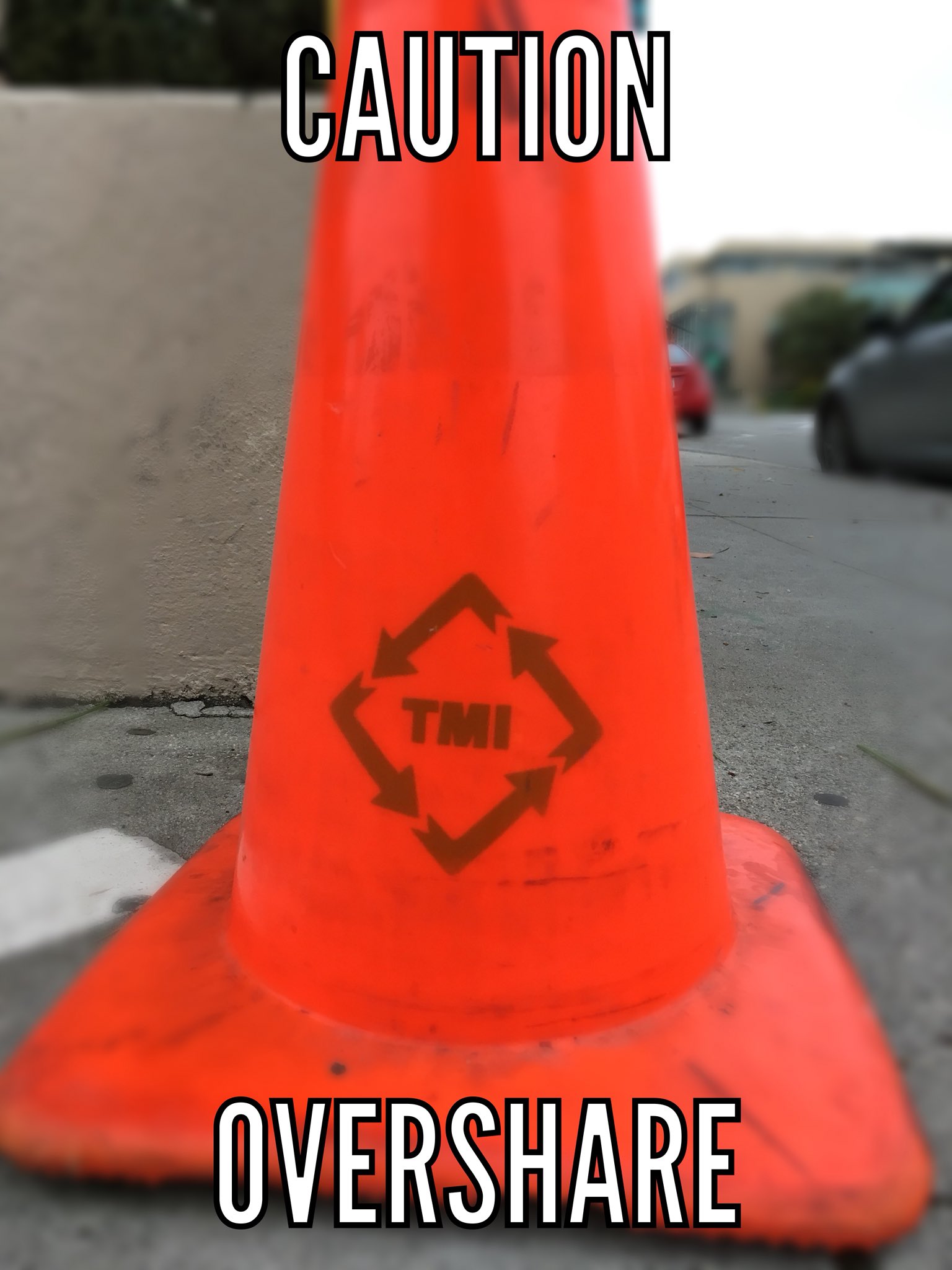 Too Much Information Meme