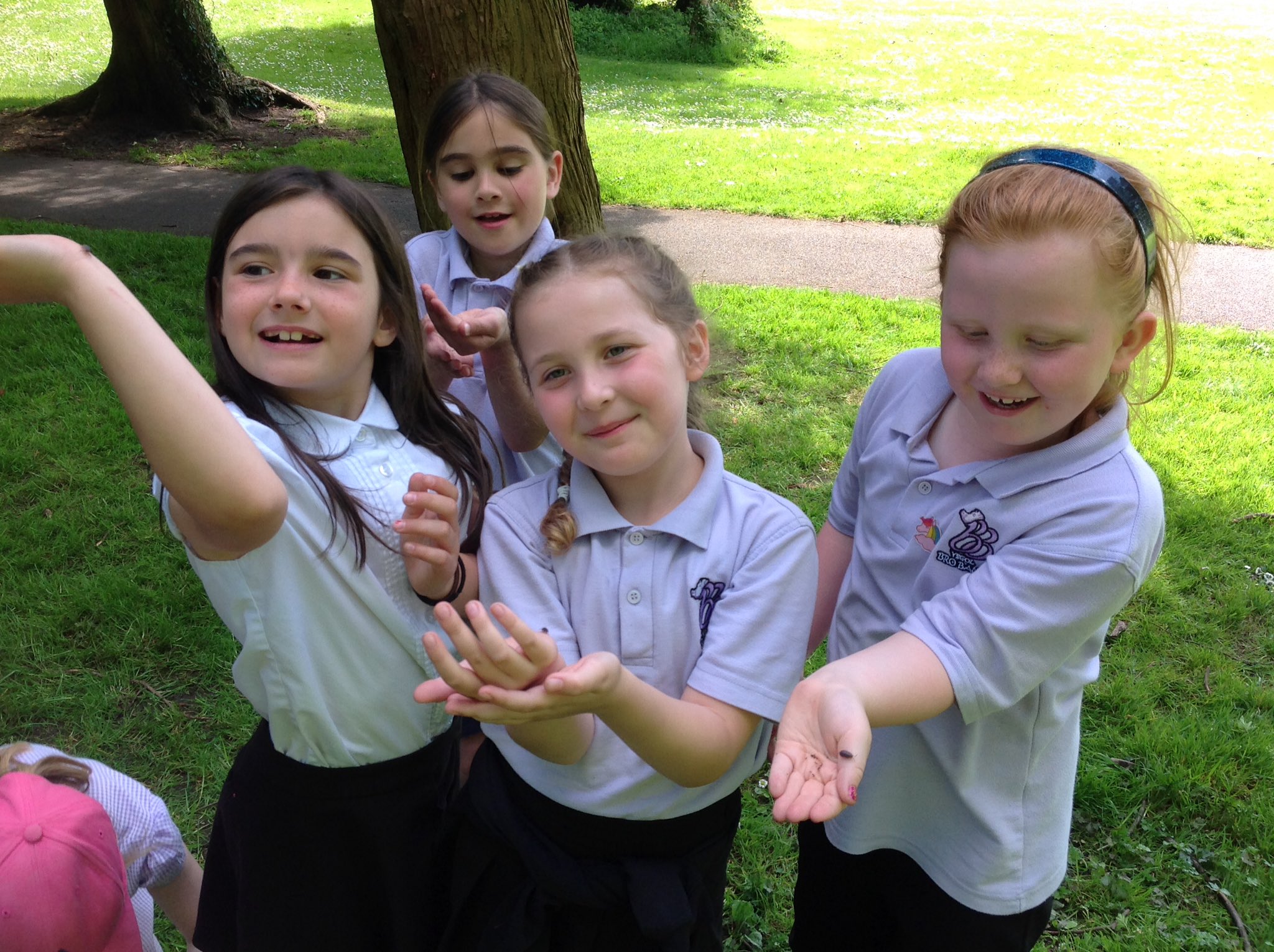 Ysgol Bro Banw Logo Mu Alpha Theta Heats Up As Weather Cools | Jesuit