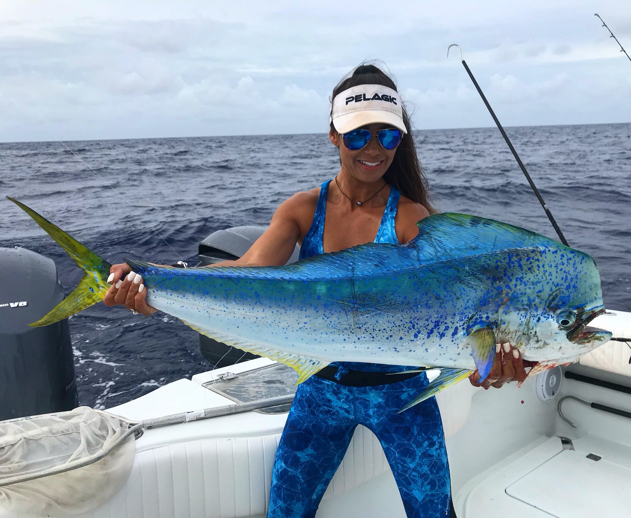 Blue Mahi Mahi
