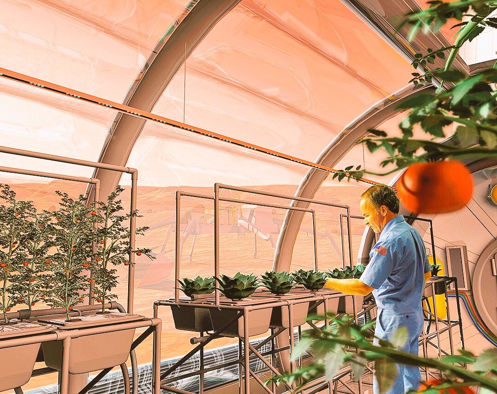 Mars Colony Greenhouse