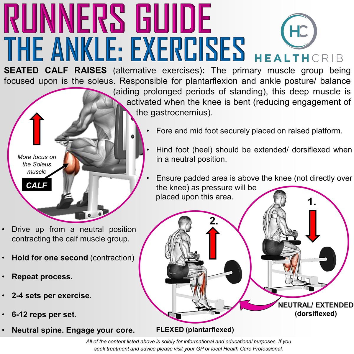 Seated Calf Raise Alternative