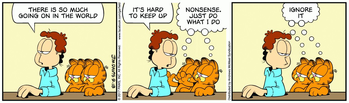 Garfield Minus Garfield Plus Garfield