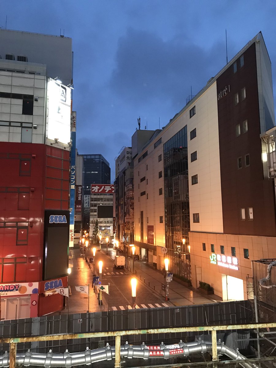 うたまる (@utamaru_cub) | Twitter