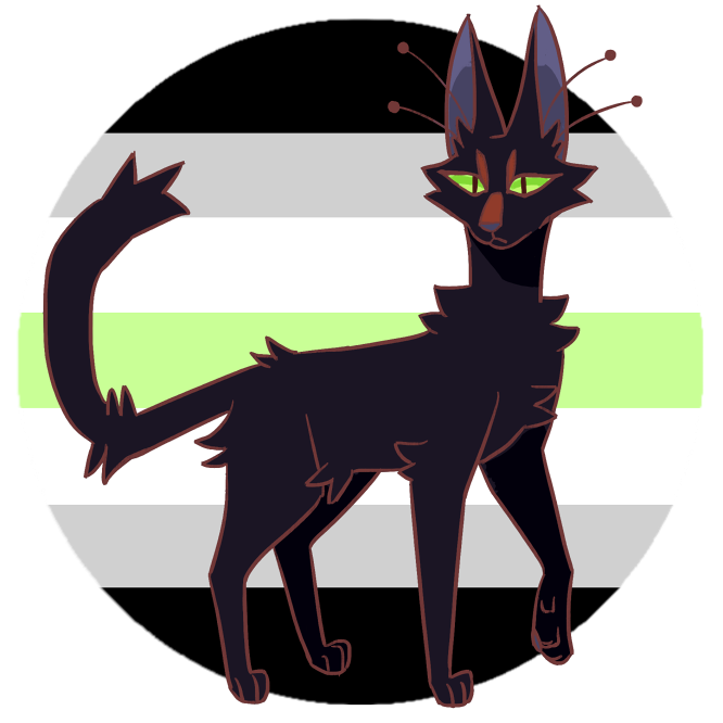 Warrior Cats Hollyleaf And Sol