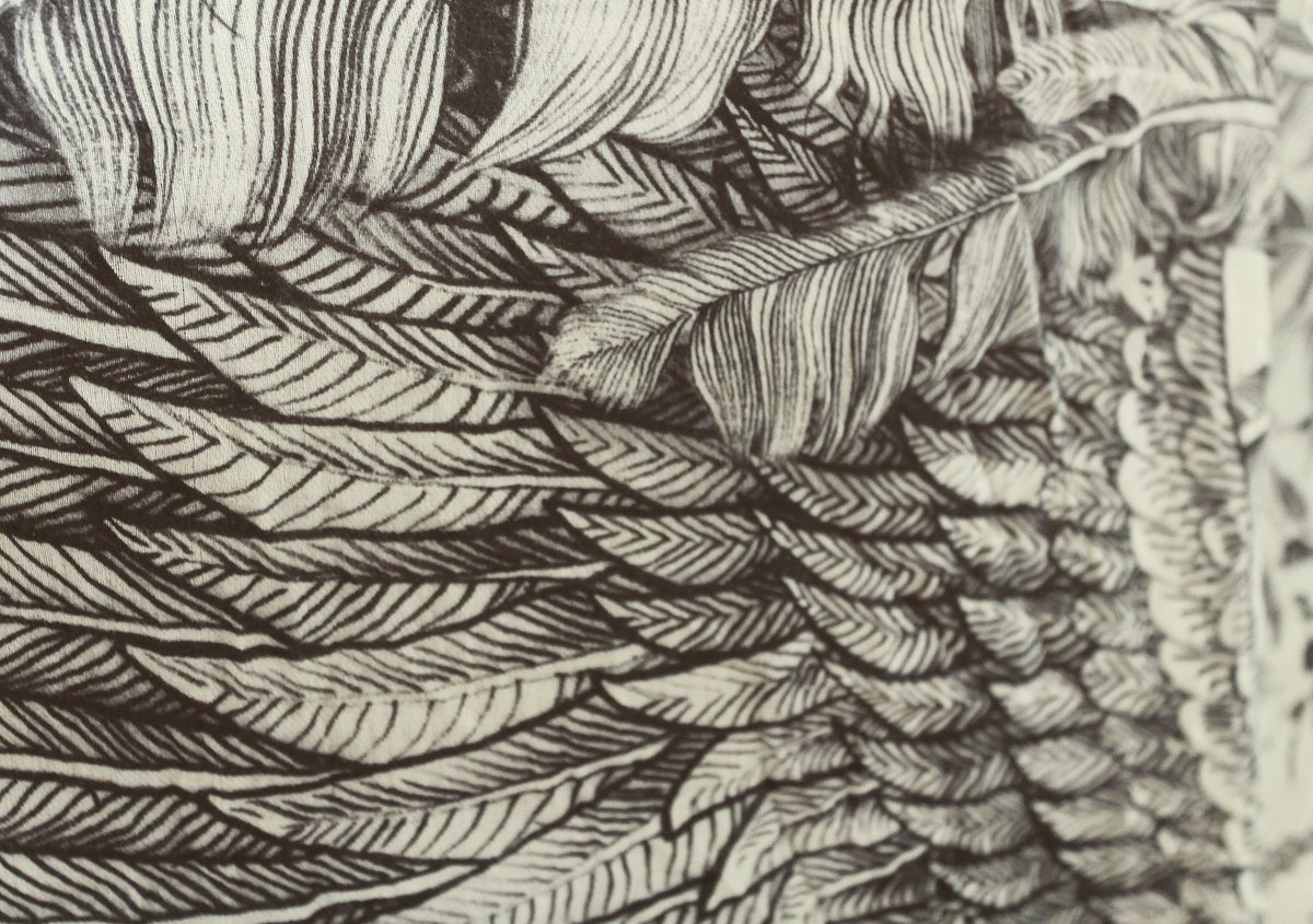 Ferocious Composure (@FerociousComp) | Twitter