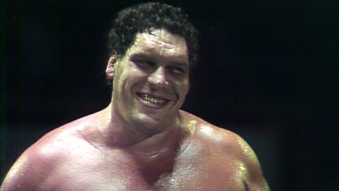 Andre The Giant's Birthday Celebration | HappyBday.to