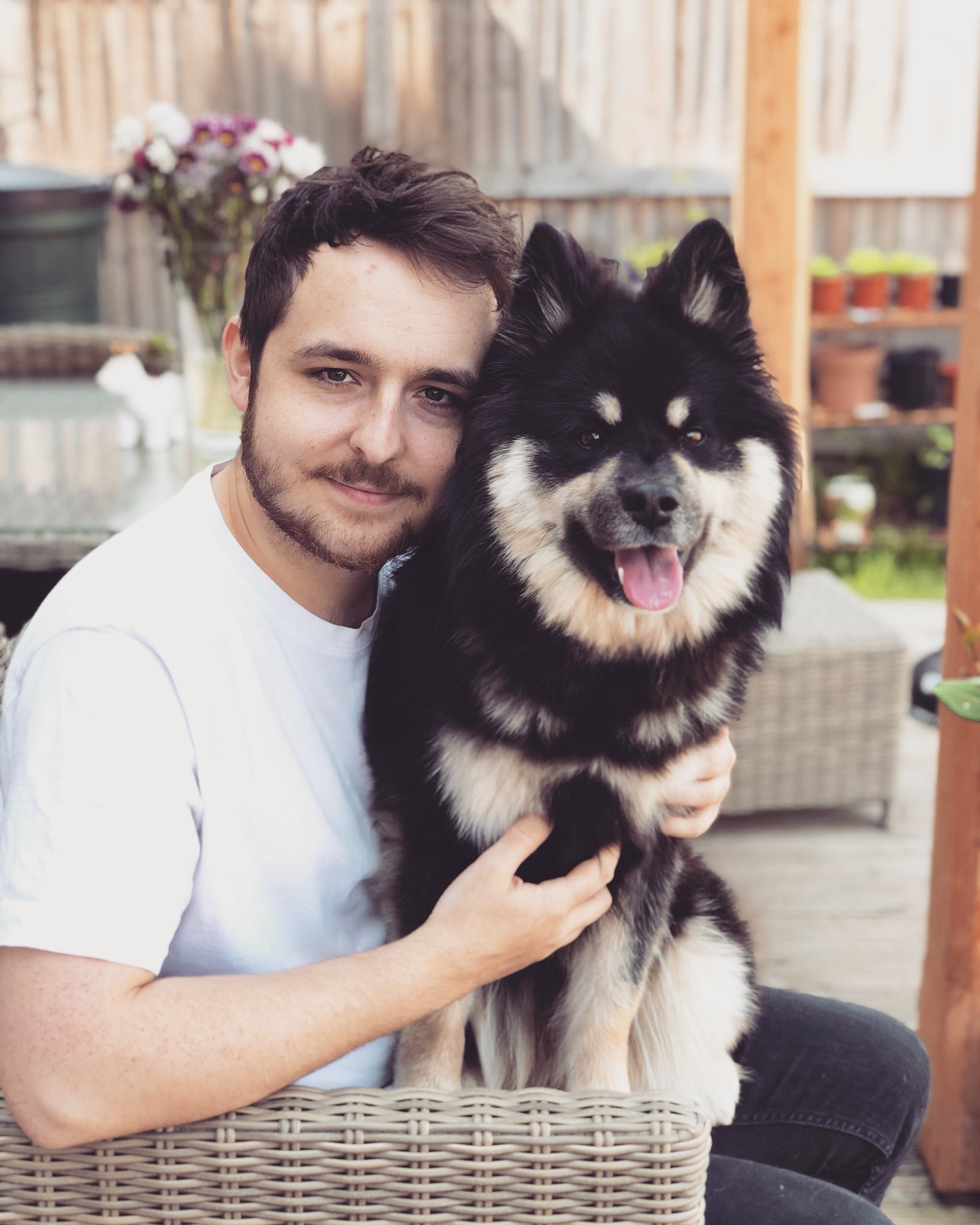 What Breed Is Ldshadowladys Dog