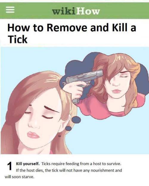 Funny Tick Memes 17 Hilarious (And Heartbreaking) Reactions To