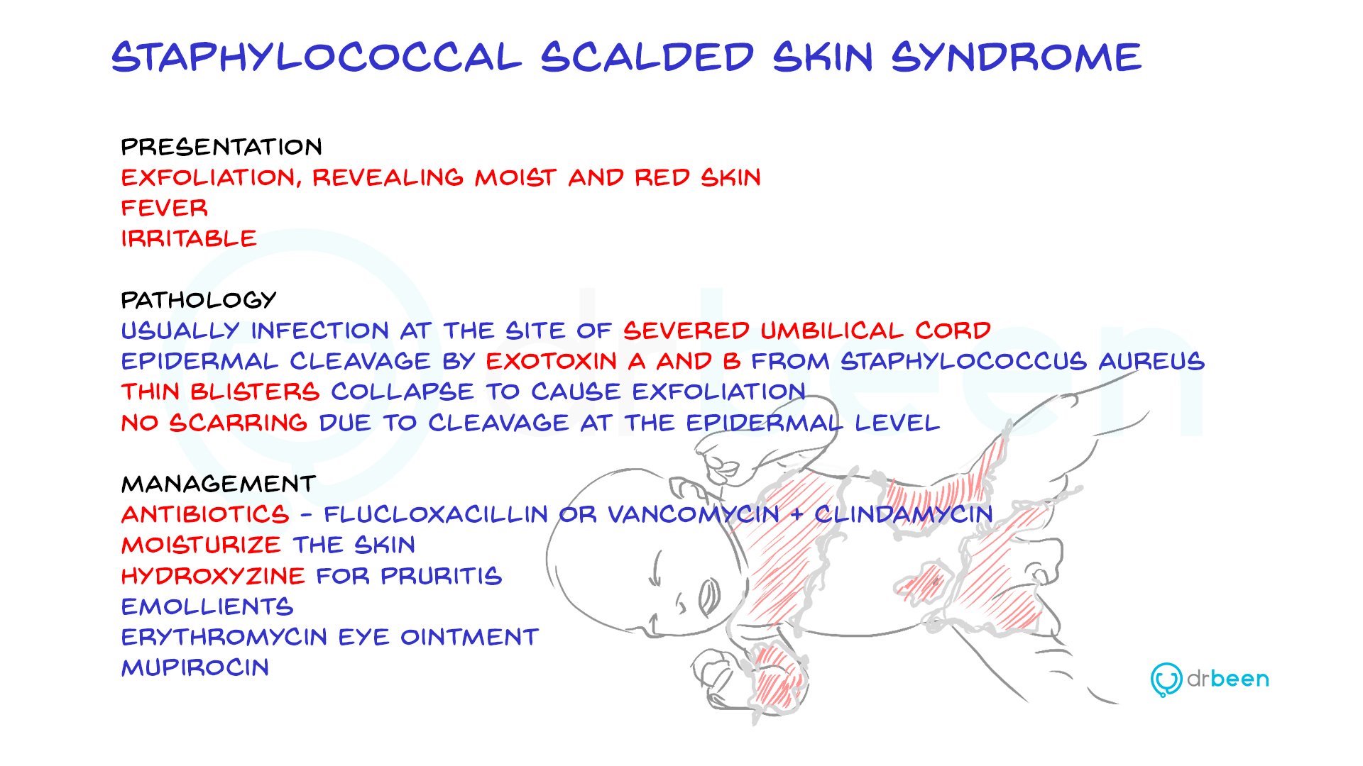 Scalded Skin Syndrome