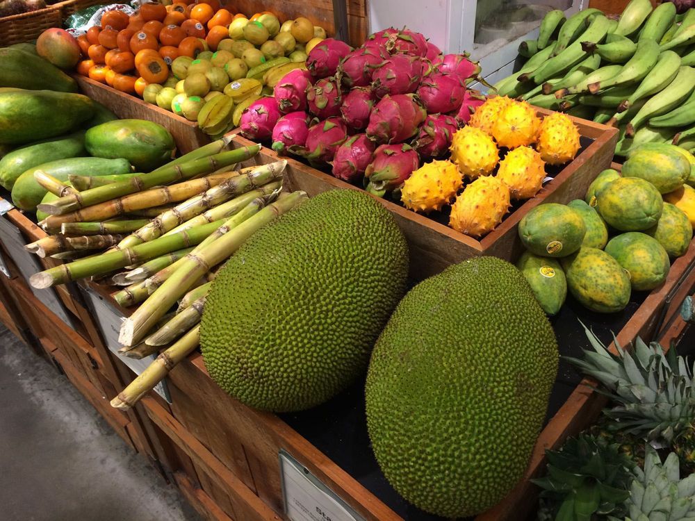 Who Were The Arawak Indians Food