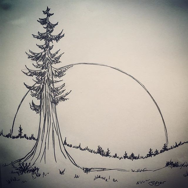 Red Cedar Tree Drawing