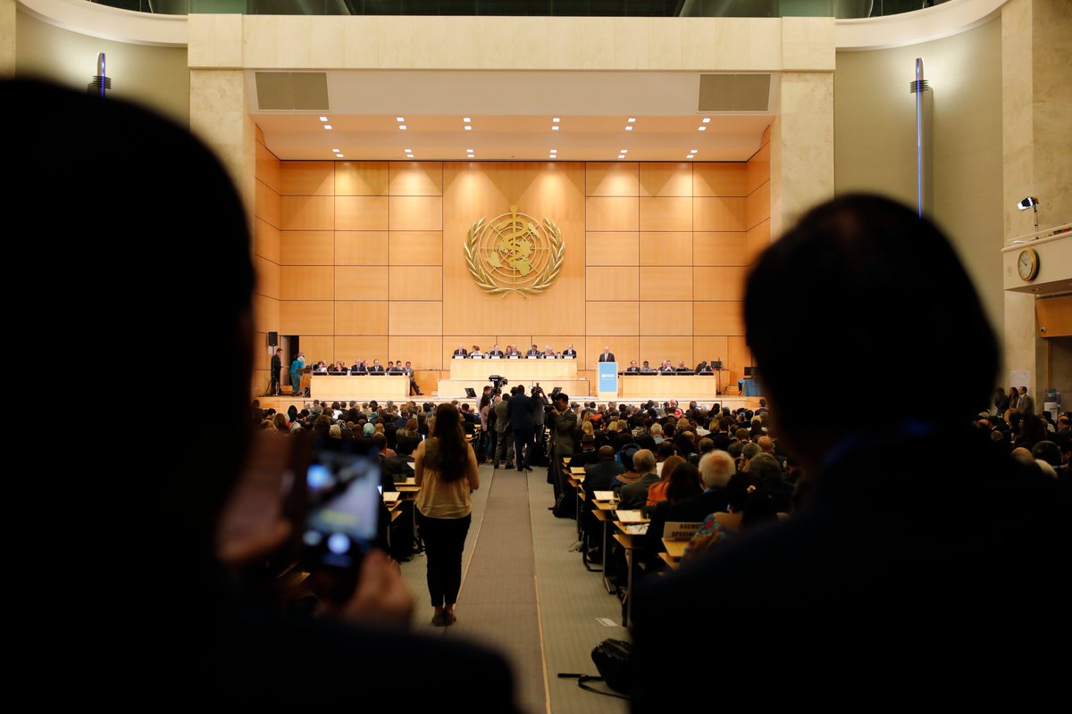 Heba Edrees (@HebaTheTrees) | Twitter