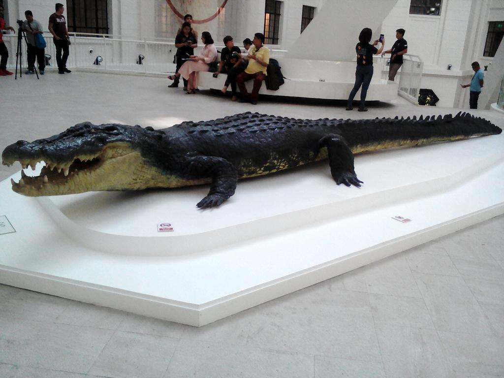 Lolong Crocodile