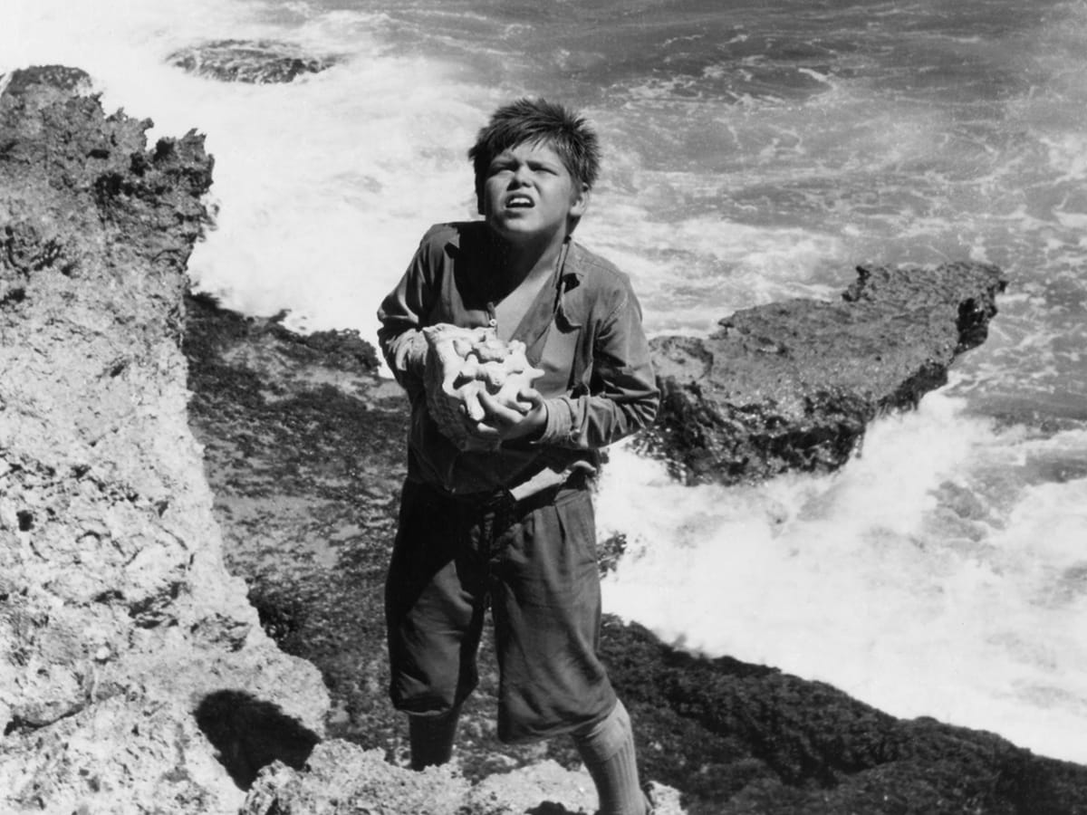 Lord Of The Flies Island Movie