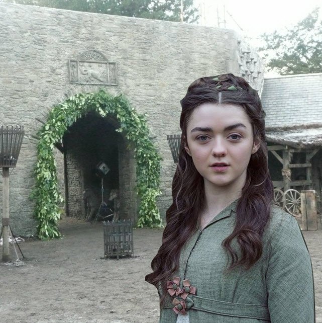 Arya Stark Long Hair