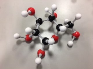 Sugar Molecule Model