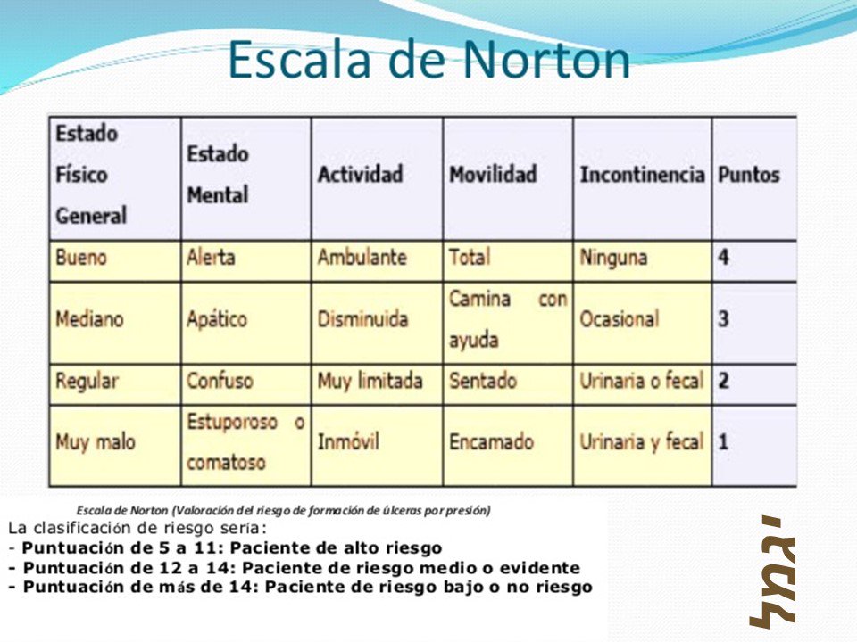 Escala De Norton Enfermagem Ilustrada Enfermagem Enfermagem | Porn Sex ...