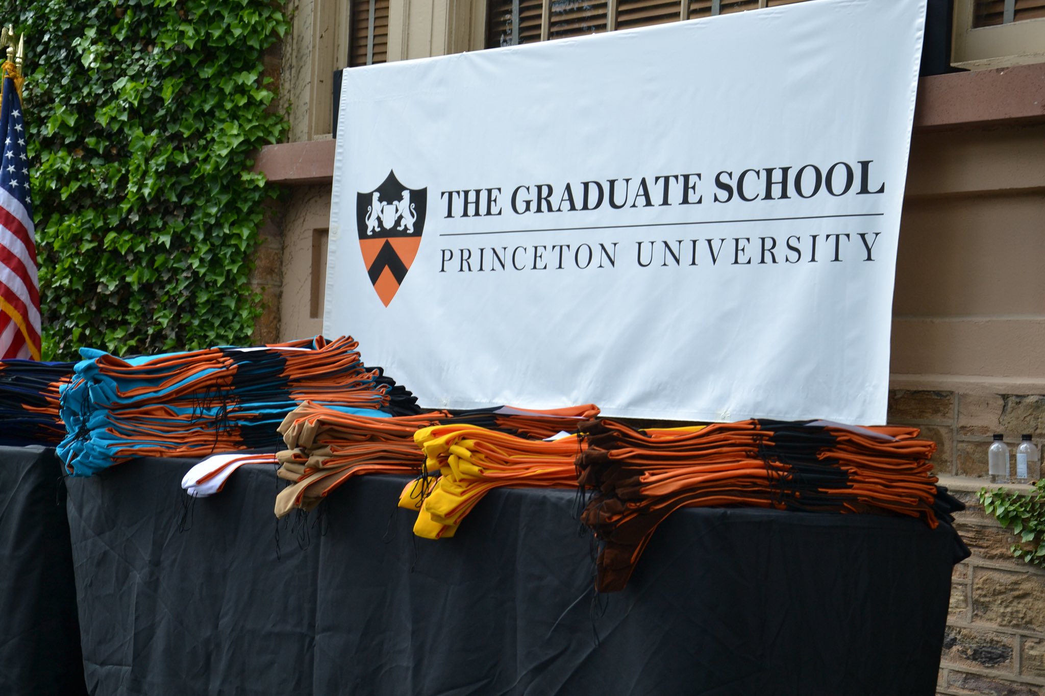 Princeton University Flag
