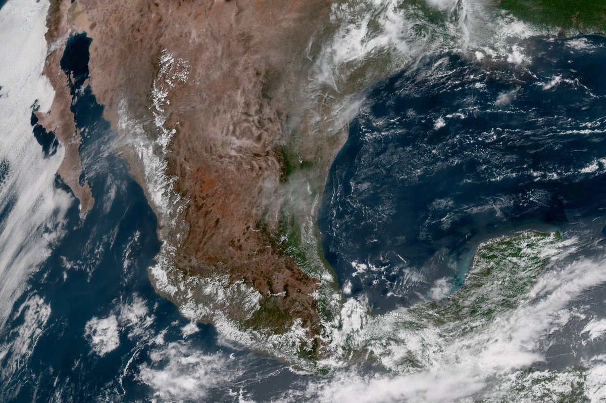 protestante silencio depositar mapa satelital de mexico Oso polar ... protestante silencio depositar mapa satelital de mexico Oso polar ...